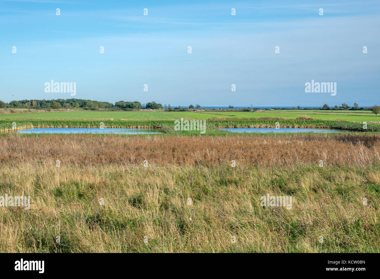 Agricultural landscape of Southern Oland in Sweden is a UNESCO World ...