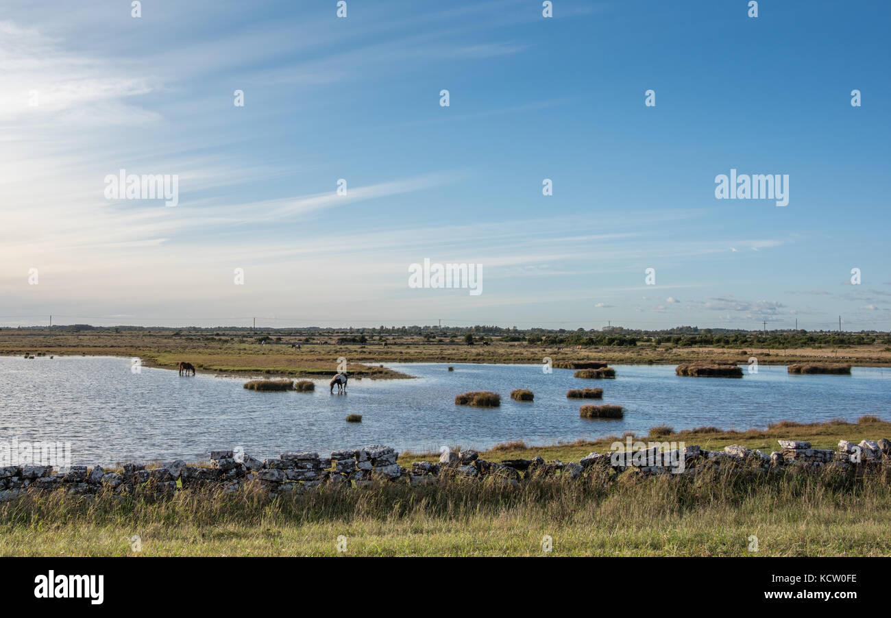 Agricultural landscape of Southern Oland in Sweden is a UNESCO World ...