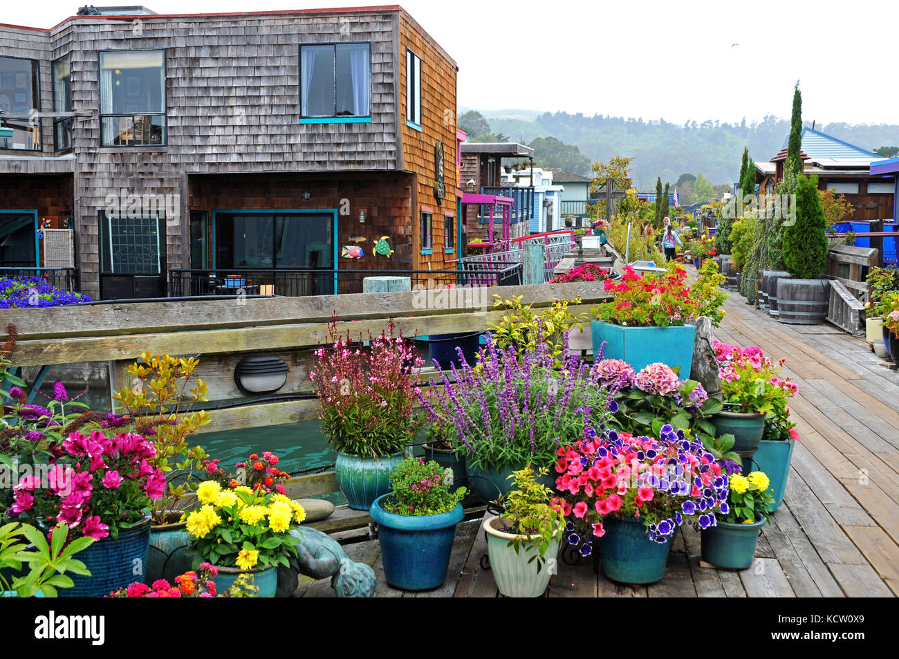 Houseboats in Sausalito ,California , USA Stock Photo - Alamy