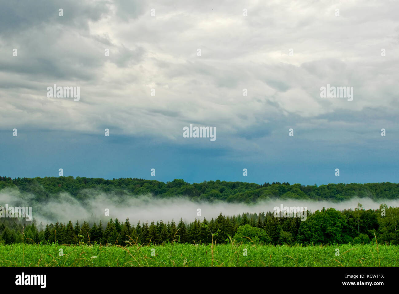 Beautiful storm clouds over misty forest Stock Photo - Alamy