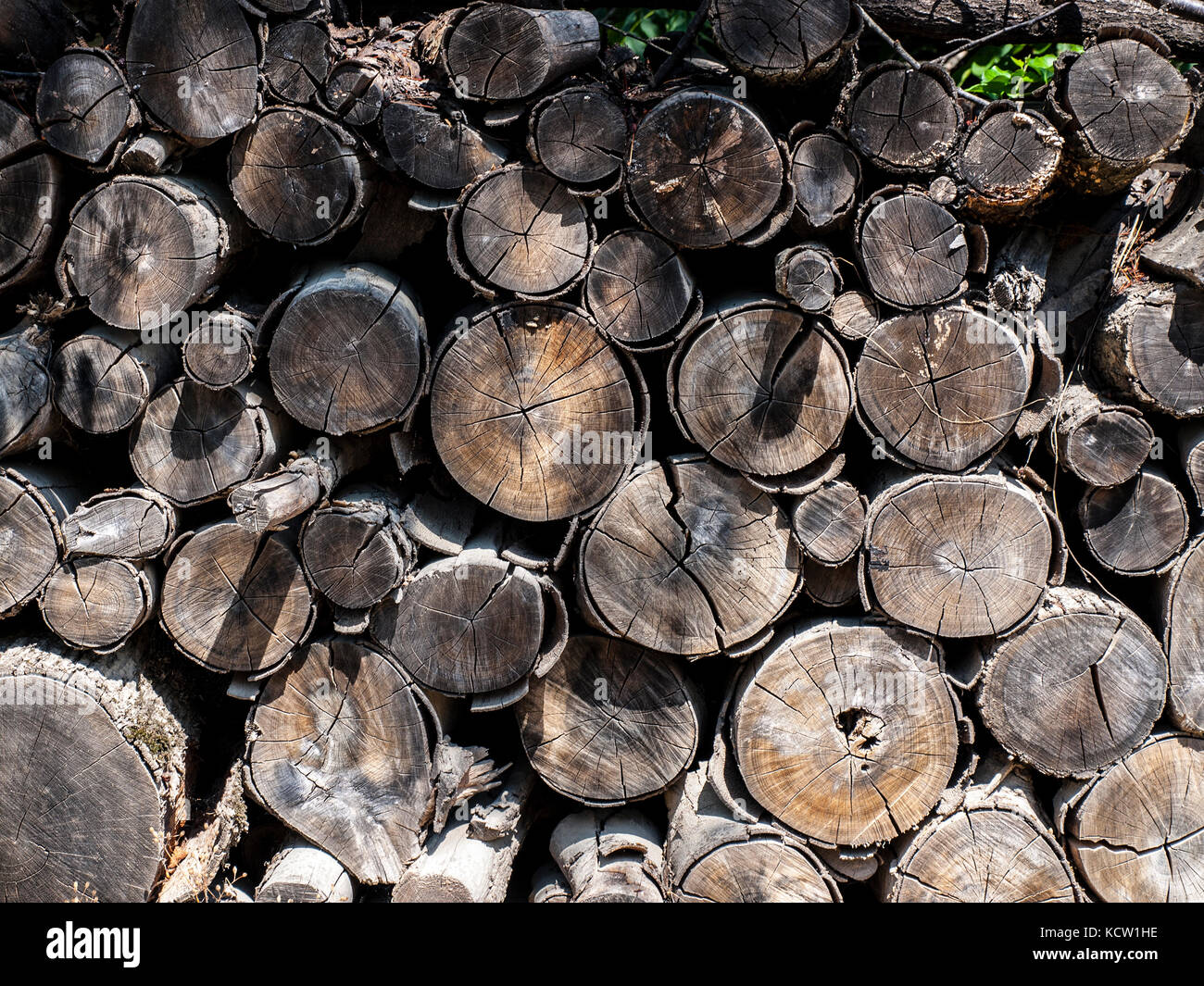 Logs for winter camping hi-res stock photography and images - Alamy