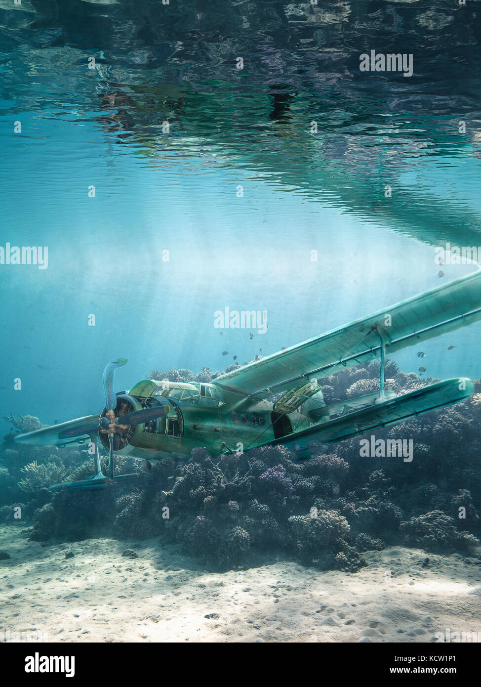 Diving In Water Jet Plane