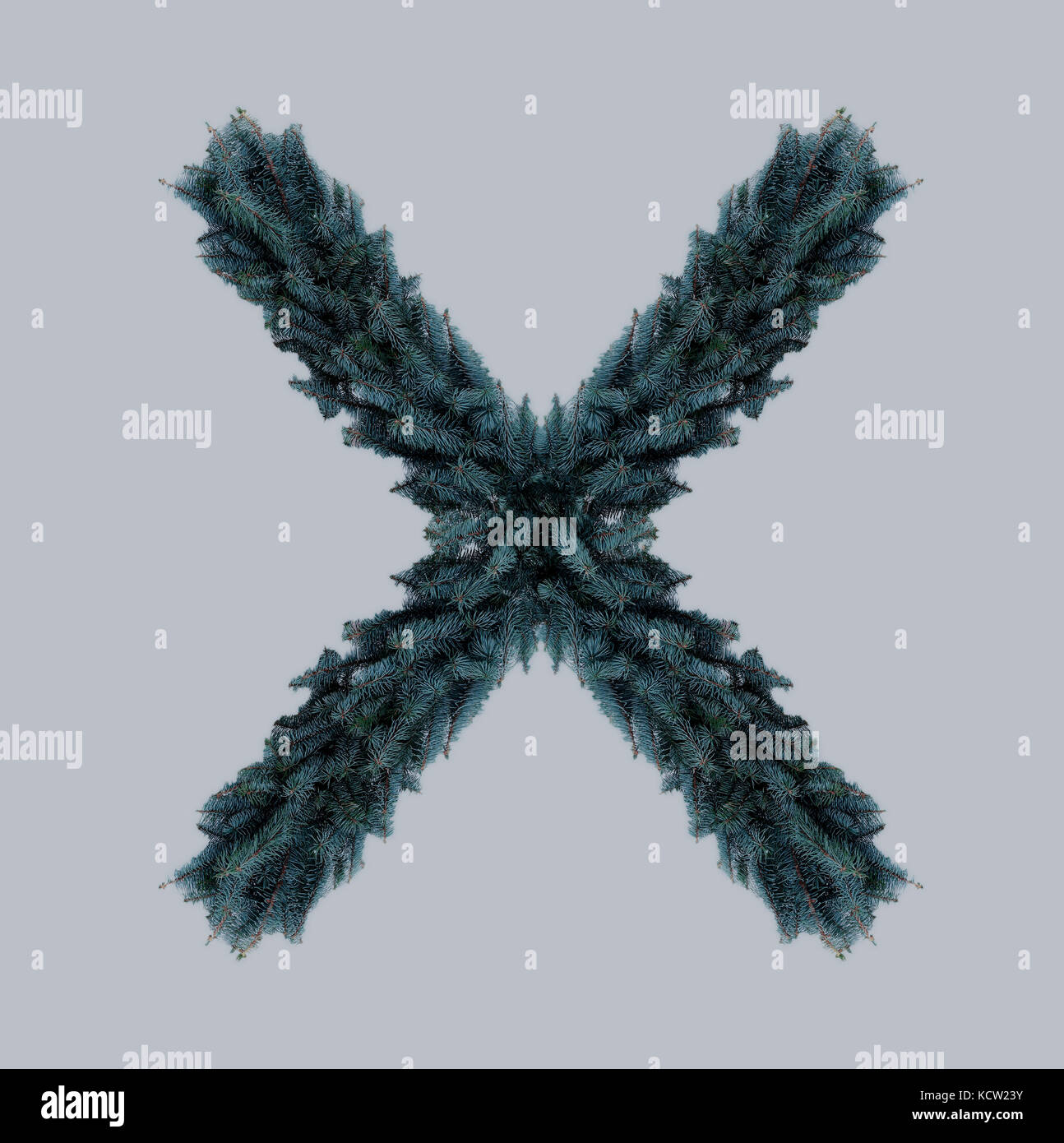 symbols from fir-tree Stock Photo - Alamy