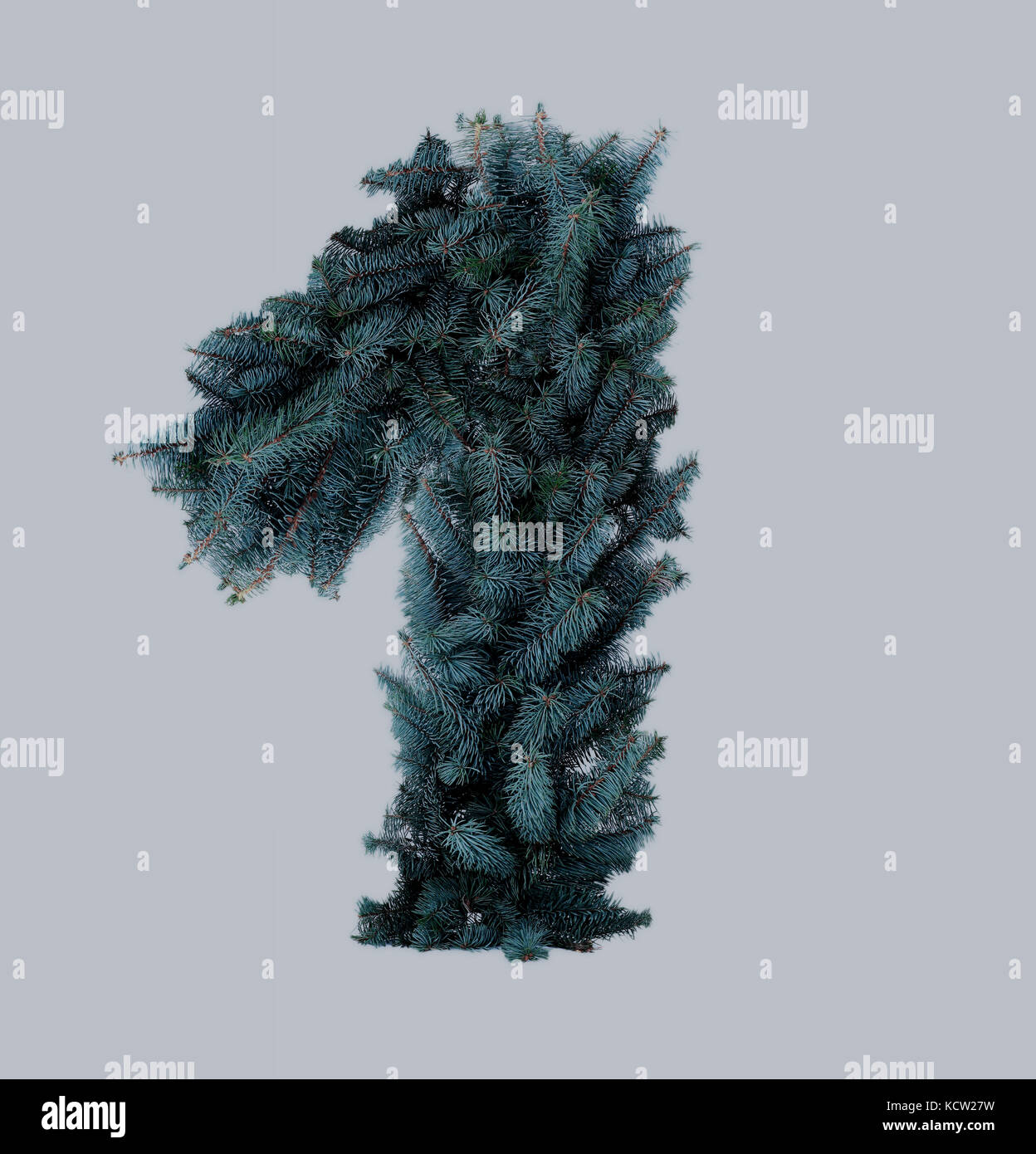 symbols from fir-tree Stock Photo - Alamy