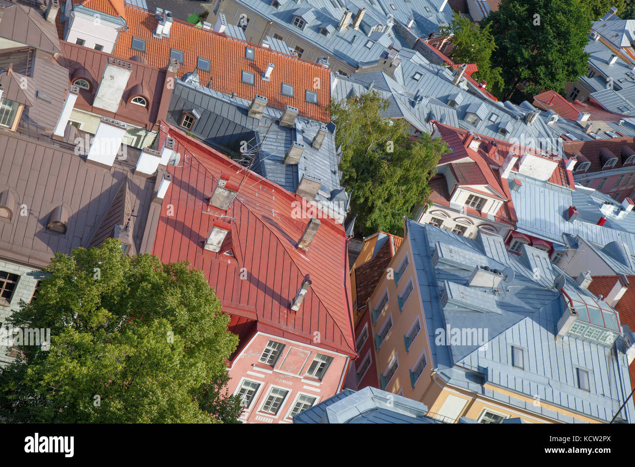 Tallinn, view from St Olav's church tower over the old town rooftops ...