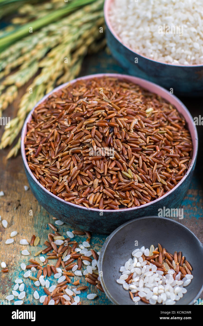 Green rice ears from Camargue Provence, France rice fields and valiety ...