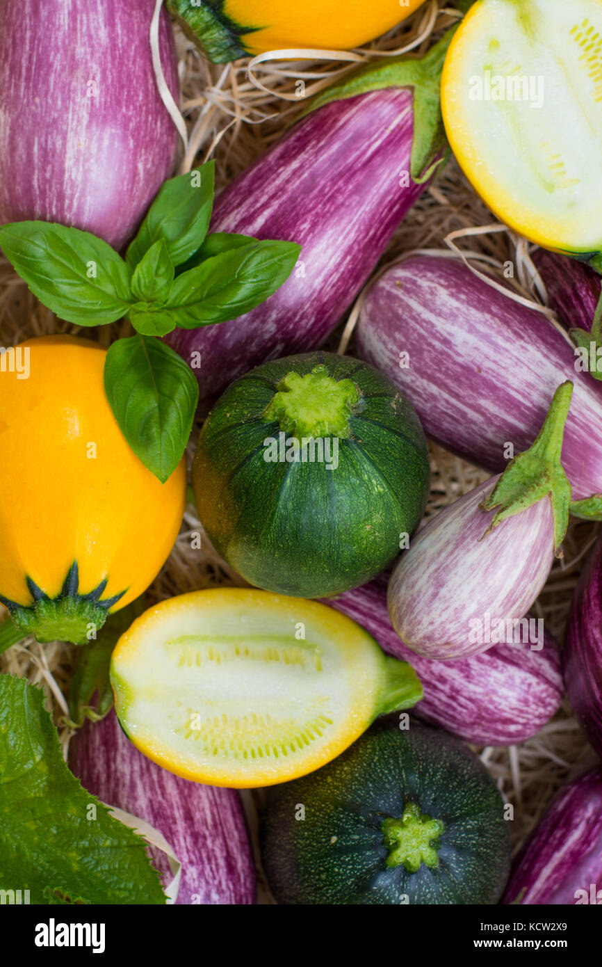 Fresh colorful organic vegetables background or wallpaper - round ...