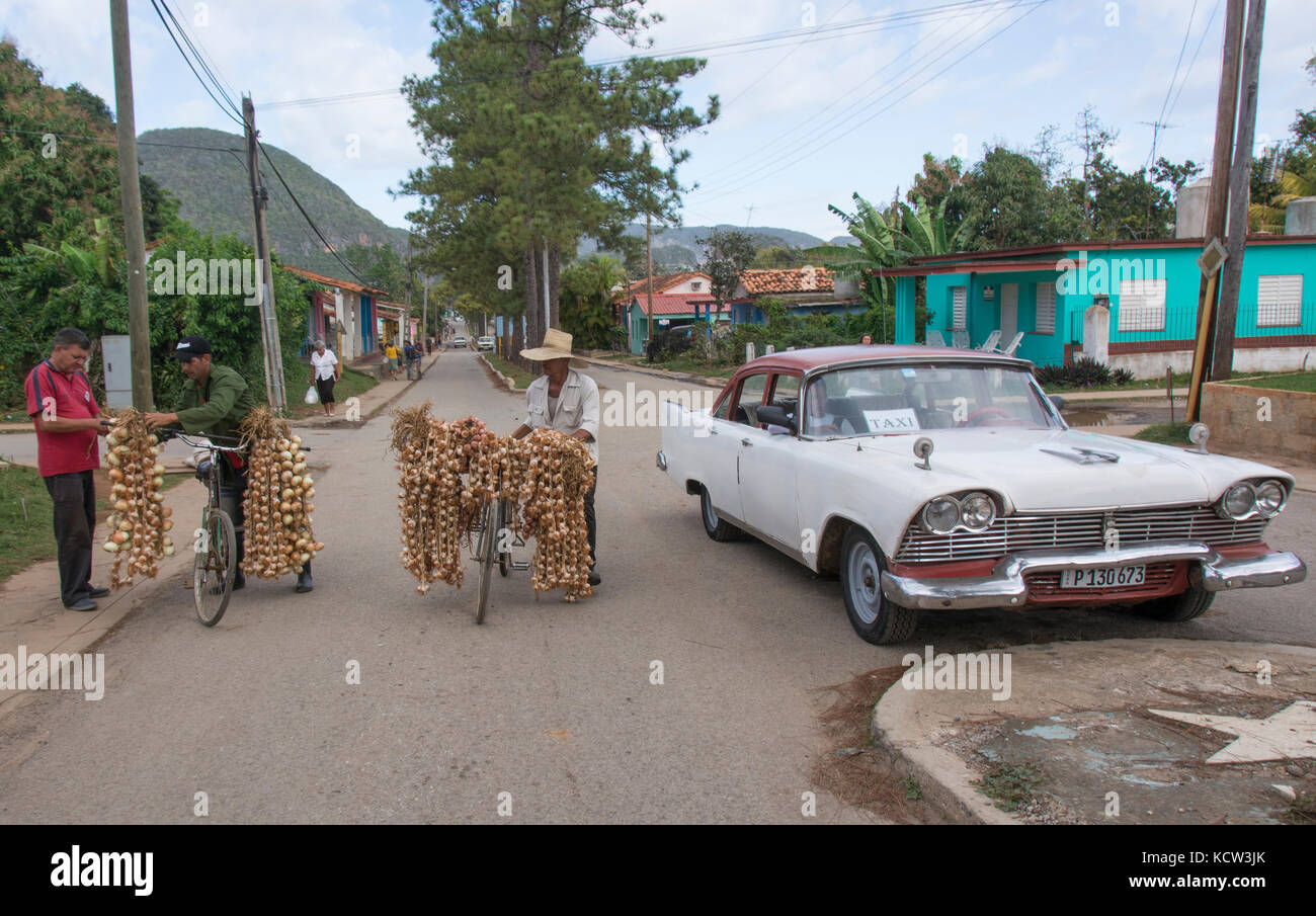 Garlic in cuba hi-res stock photography and images - Alamy