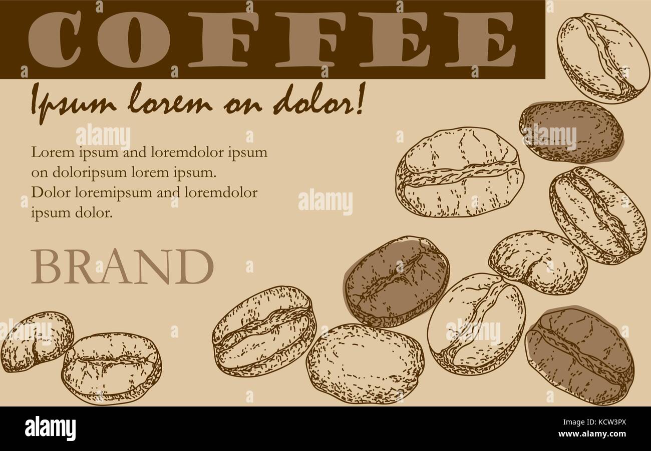 painted coffee beans, sketch, vector drawing, perfect ingredient ...