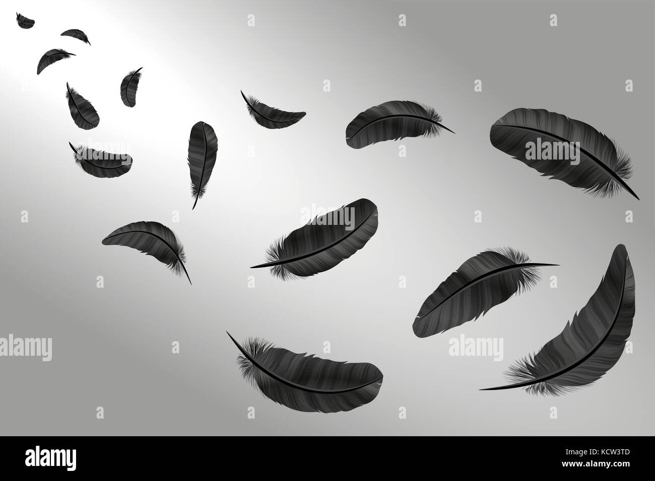 Feathers vector set in a 3d style. Icons feathers isolated on a light ...