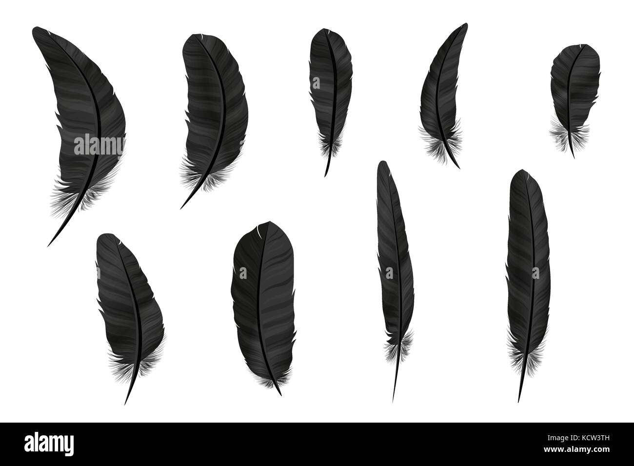 Feathers vector set in a 3d style. Icons feathers isolated on a light ...