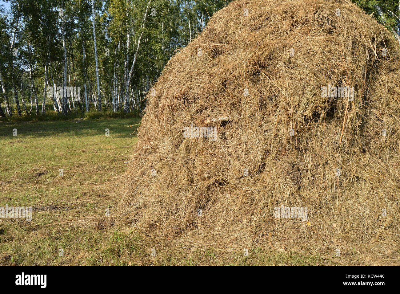 beautiful rustic background with haystack on meadow Stock Photo - Alamy