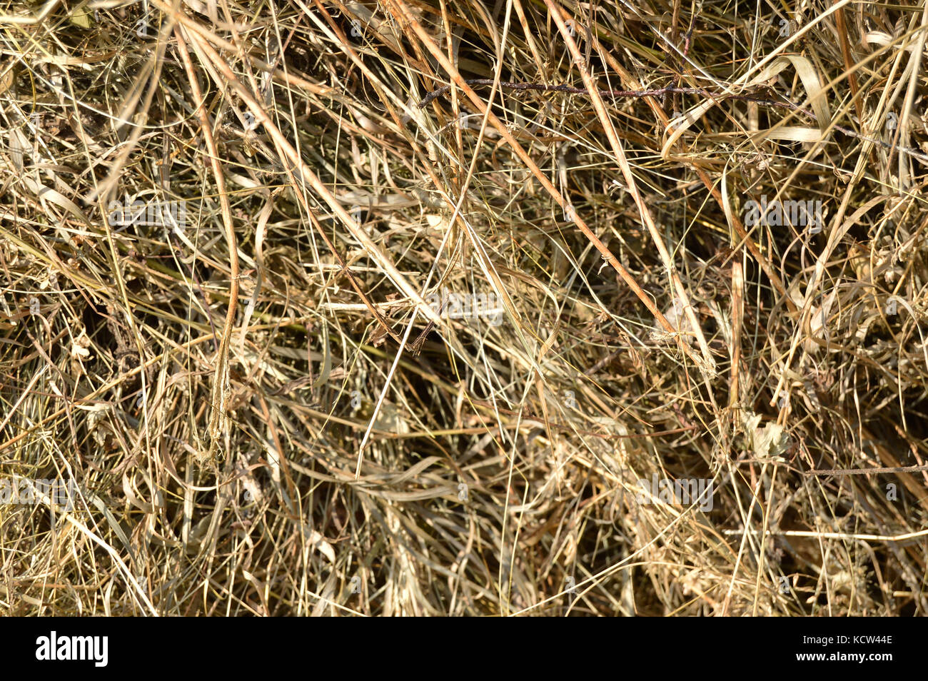 beautiful rustic backdrop of hay in meadow Stock Photo - Alamy