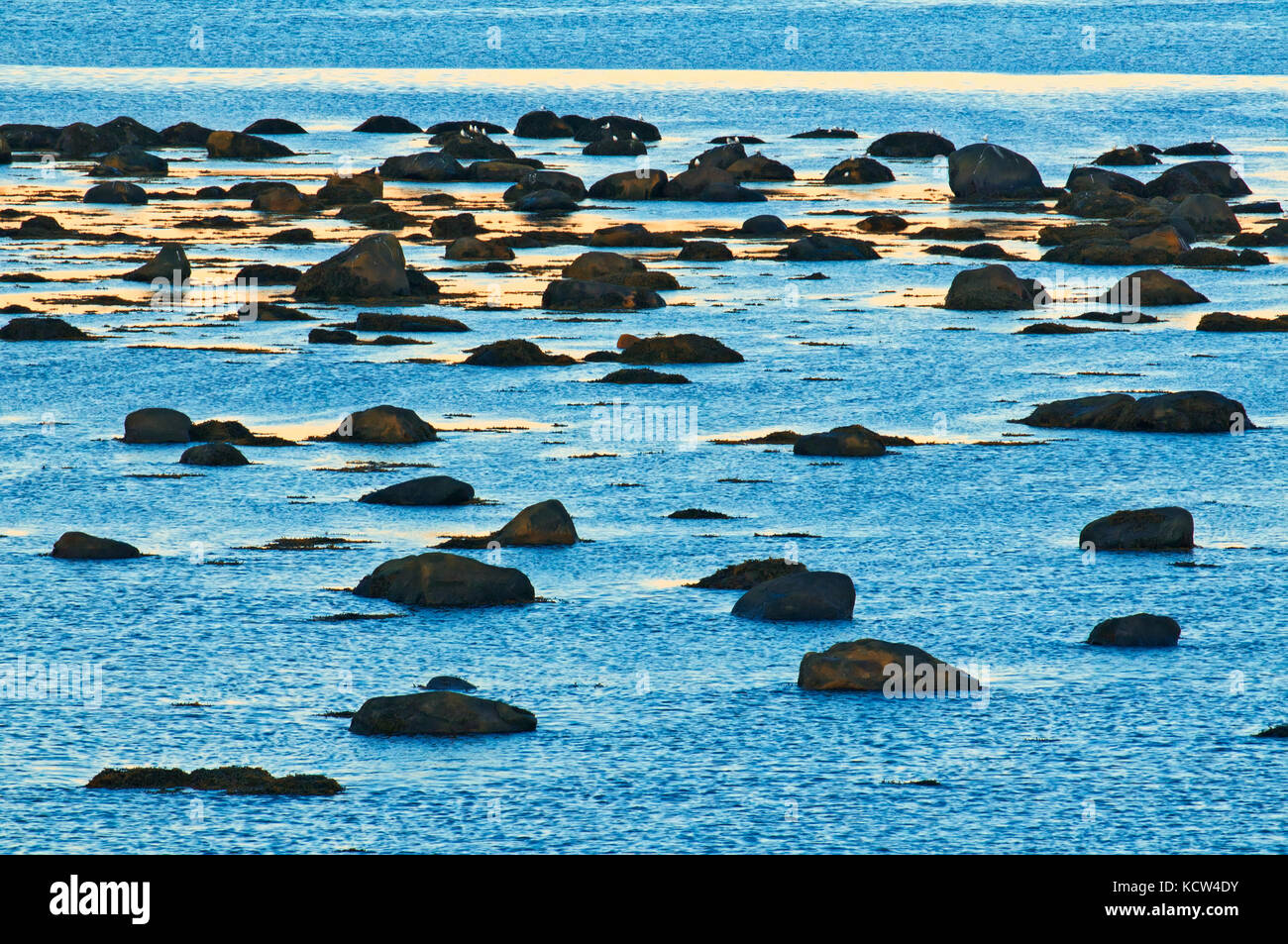 Rocks in Gulf of St. Lawrence at dusk, Baie Comeau, Quebec, Canada ...