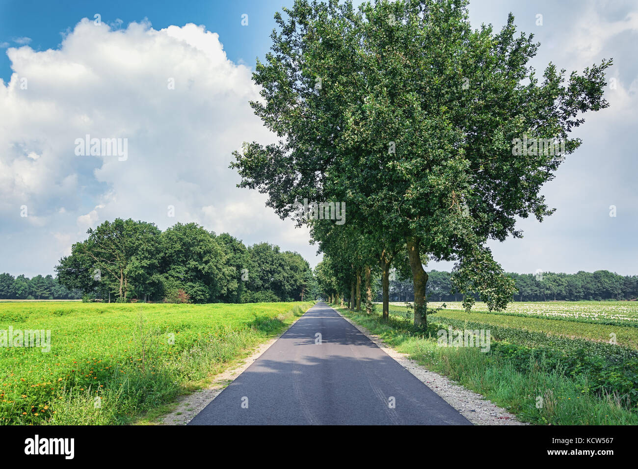 Panorama on the fields and meadows of the southern part of the ...