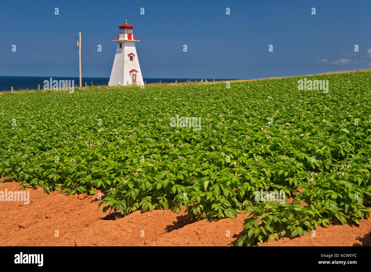 Cape Tryon Lighthouse and potatoes, Cape Tryon, Prince Edward Island ...