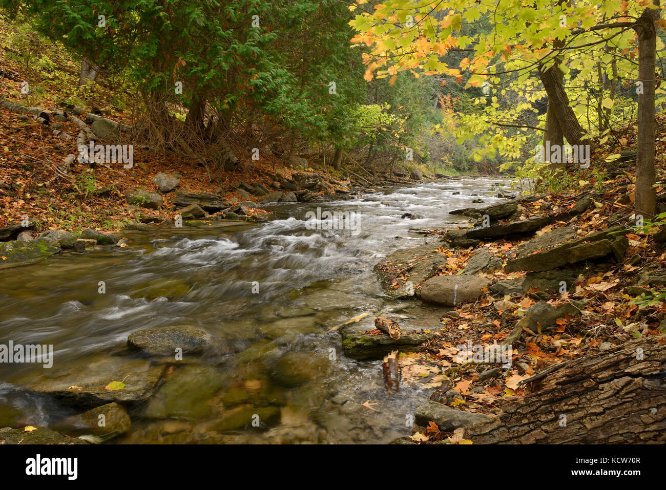 Kagawong Creek , Manitoulin Island, Ontario, Canada Stock Photo - Alamy