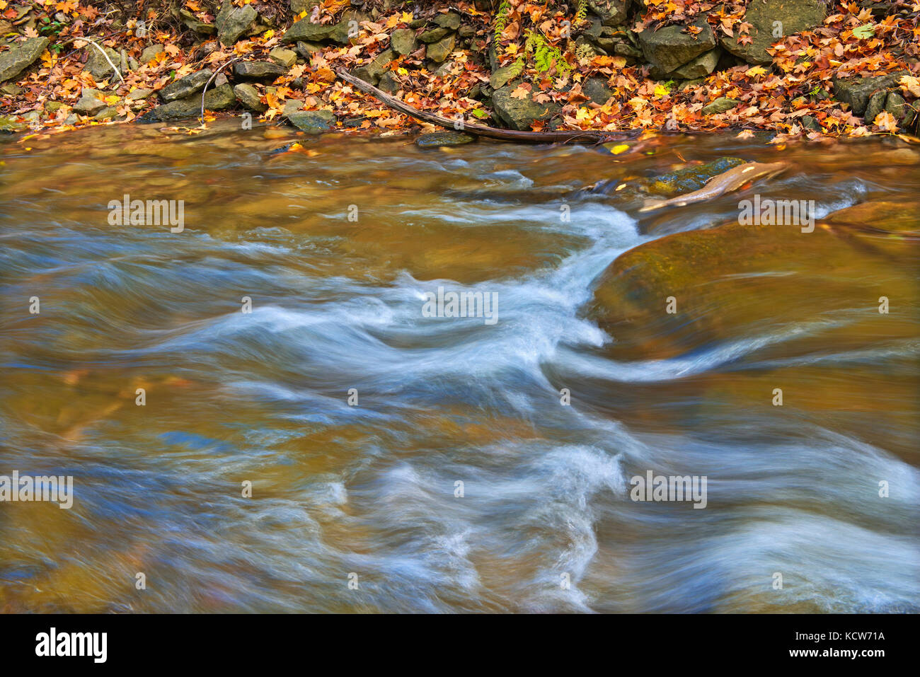 Kagawong River High Resolution Stock Photography and Images - Alamy