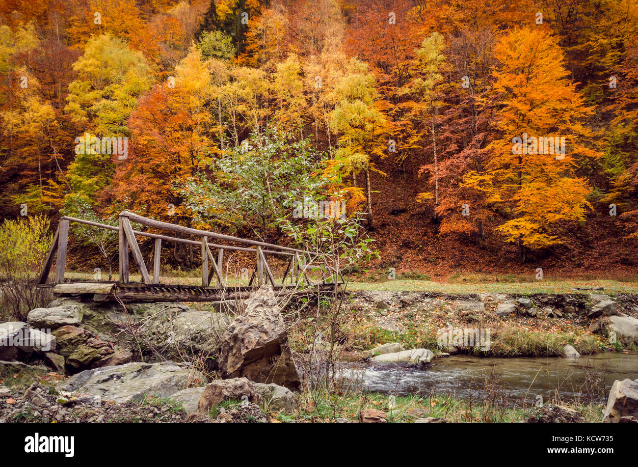 Autumn in the forest. Old wooden bridge over a mountain river Stock ...