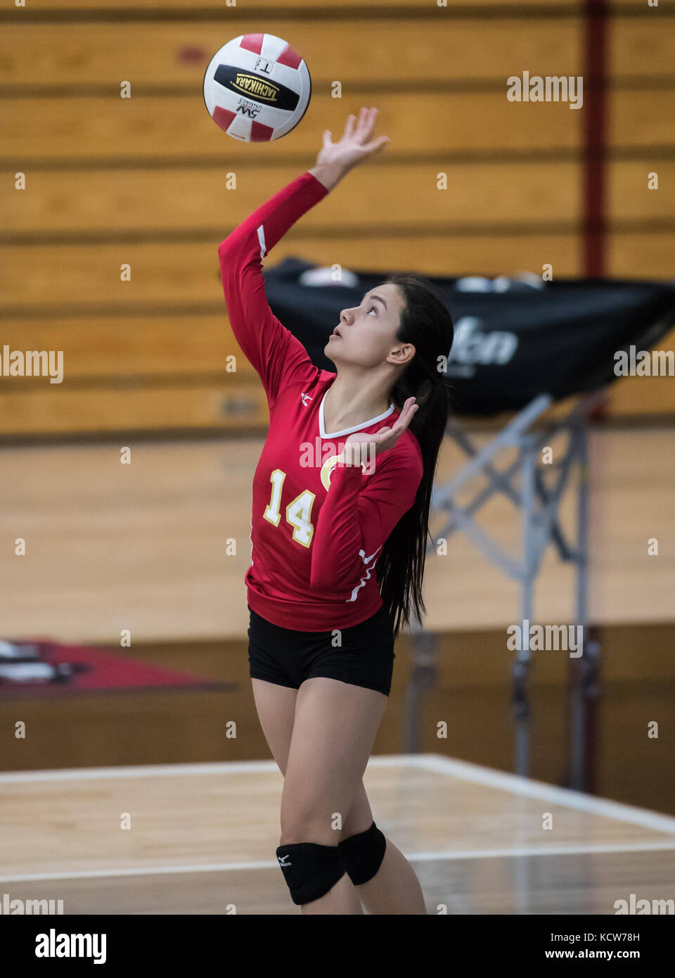 Volleyball action with Chico High vs. Foothill in Palo Cedro ...