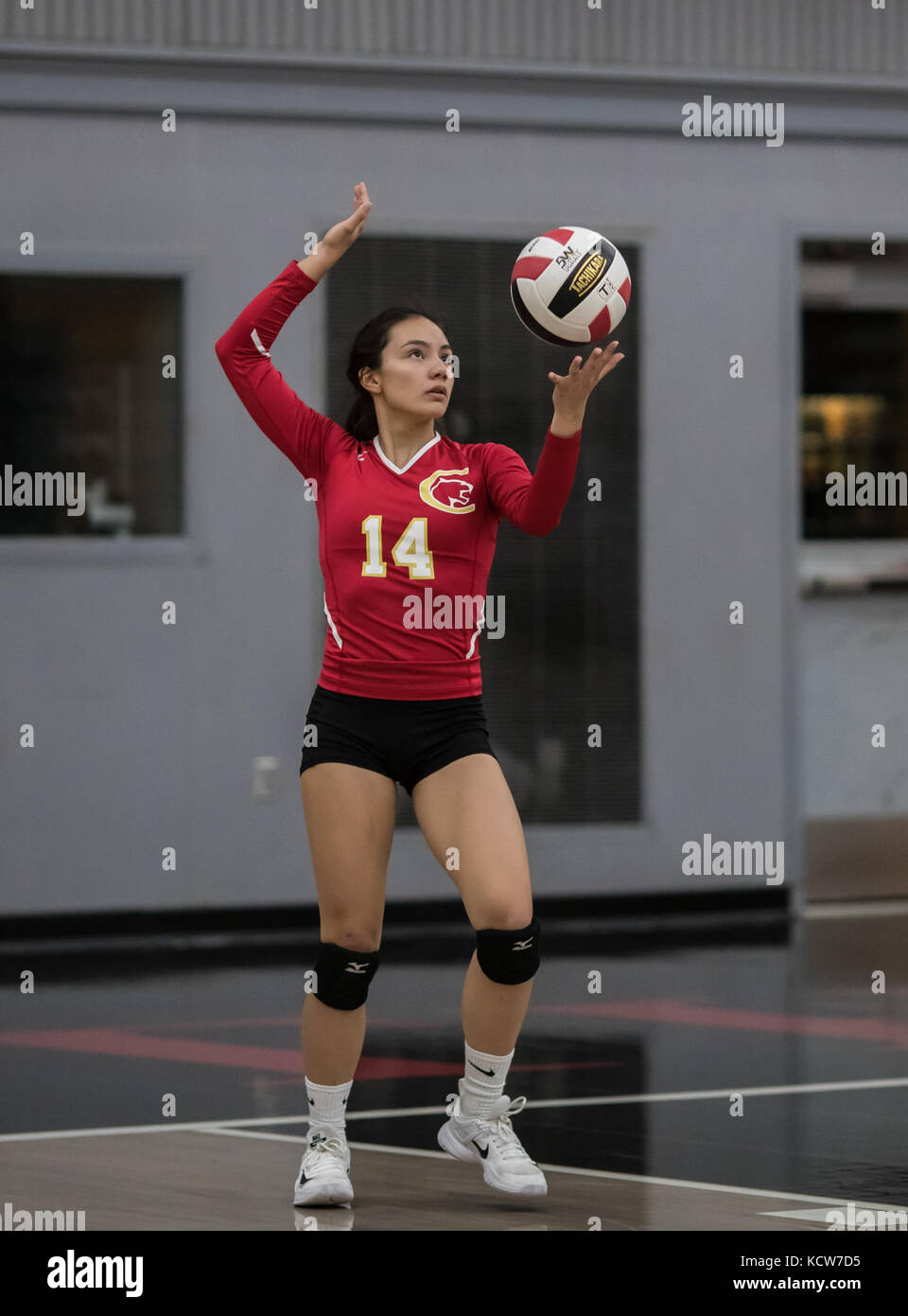 Volleyball action with Chico High vs. Foothill in Palo Cedro ...