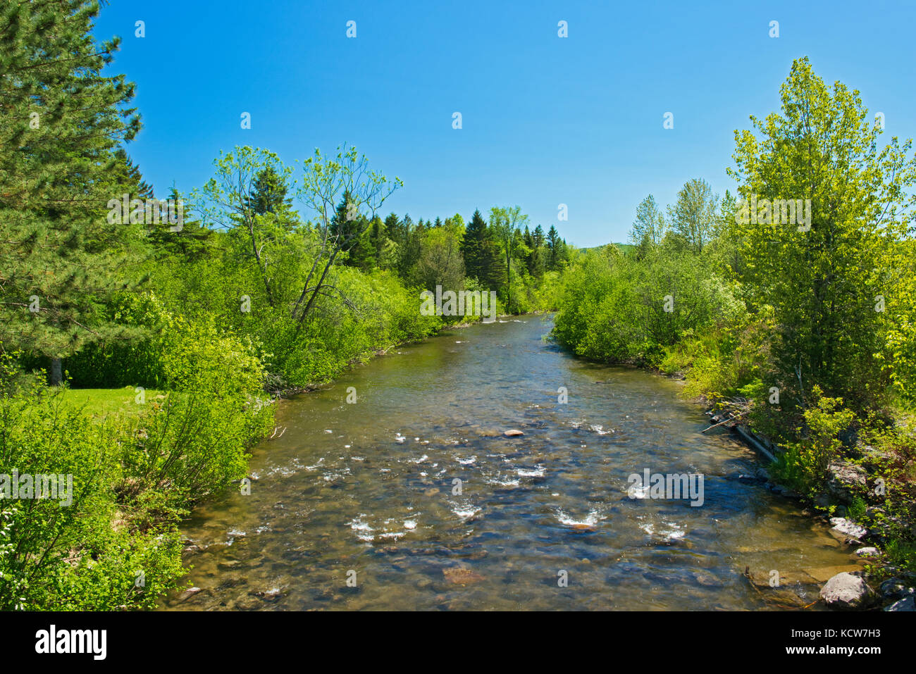 River, Willow Grove, New Brunswick, Canada Stock Photo - Alamy