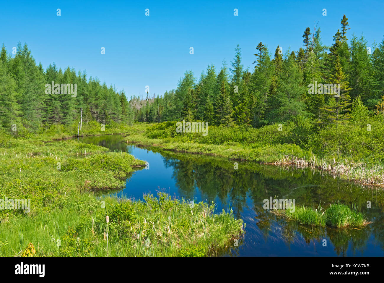 Canada new brunswick st stephen hi-res stock photography and images - Alamy