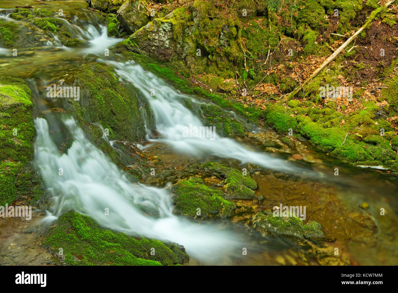 DIskson Falls, Bay of Fundy National Park, New Brunswick, Canada Stock ...
