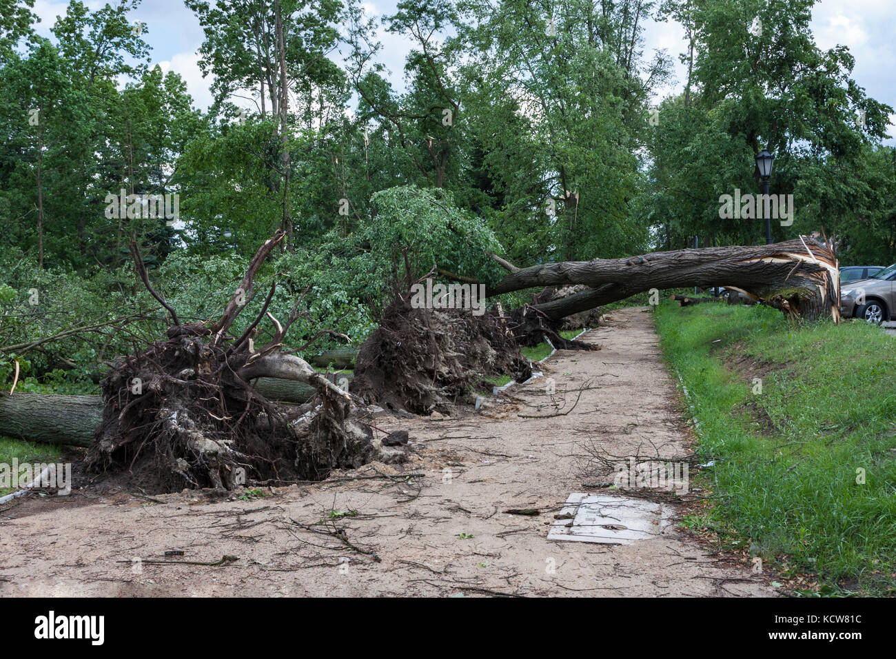 Destroyed square after the storm and a hurricane Stock Photo - Alamy
