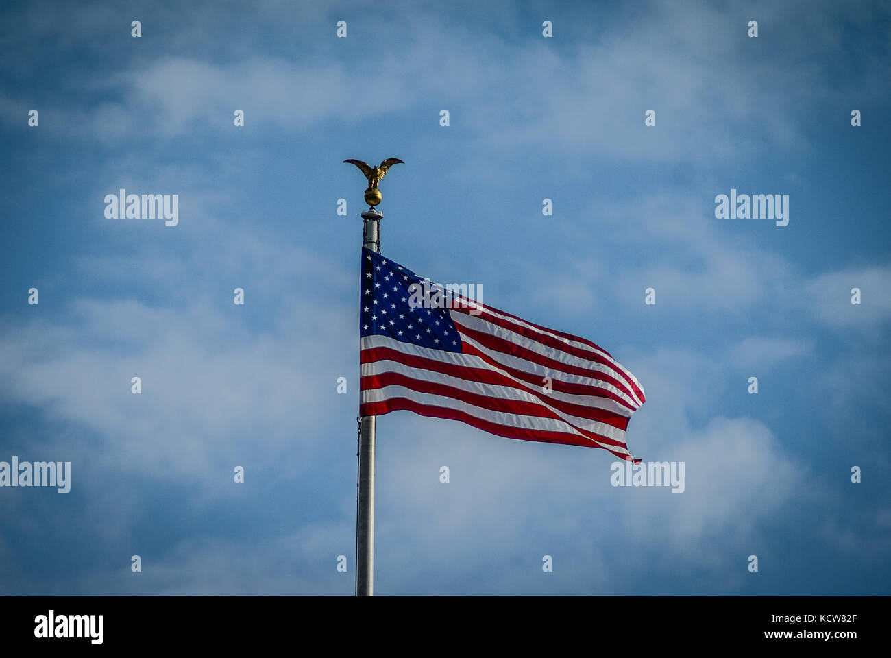 American Flag Eagle High Resolution Stock Photography and Images - Alamy