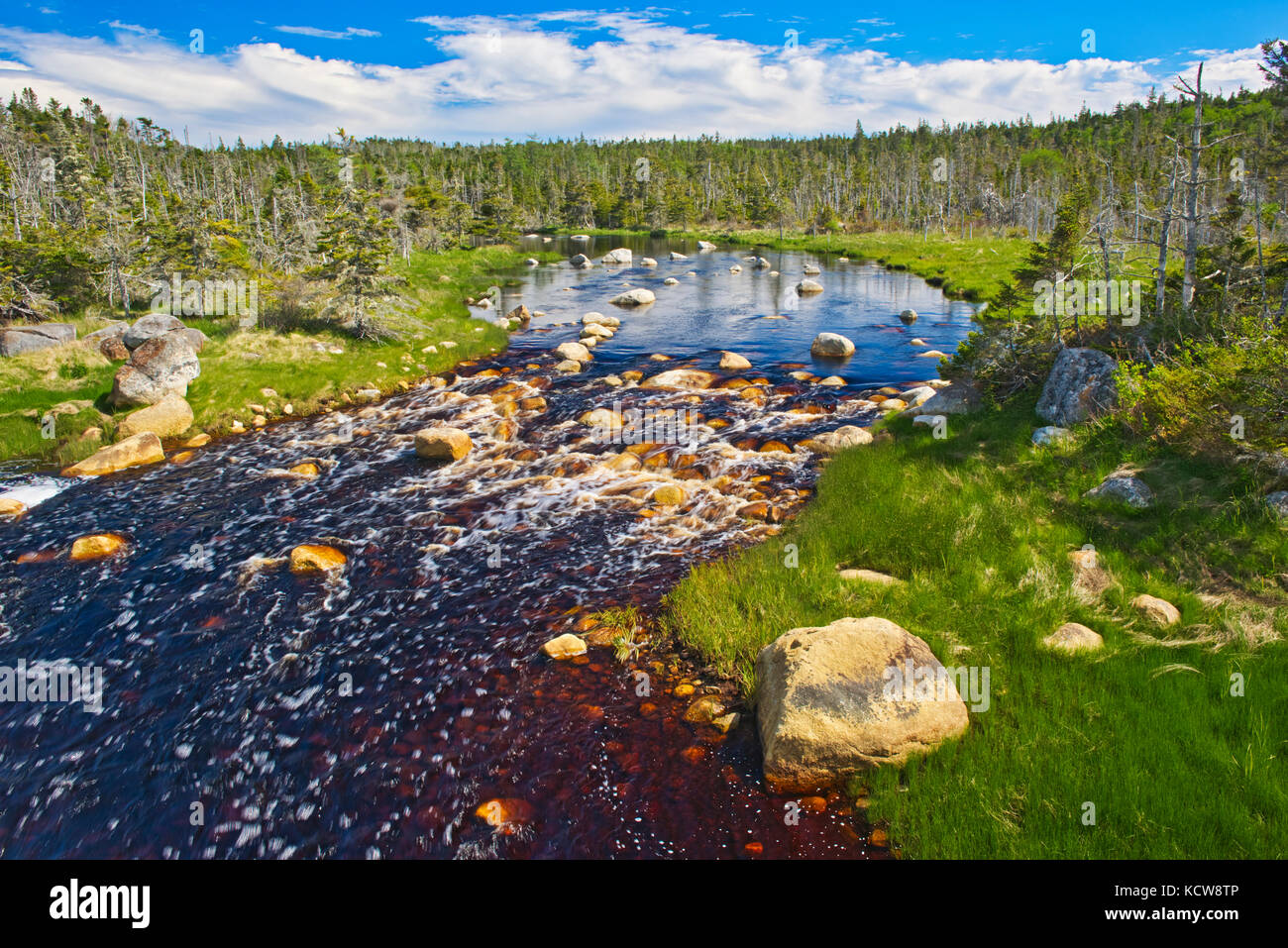 Rocks and river, Near Tor Bay, Nova Scotia, Canada Stock Photo - Alamy