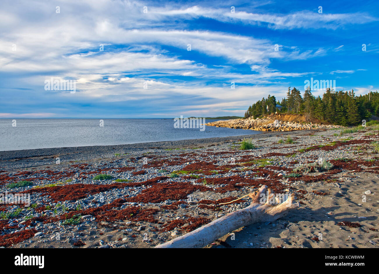 Shoreline at Chedabucto Bay , Fox Island, Nova Scotia, Canada Stock ...