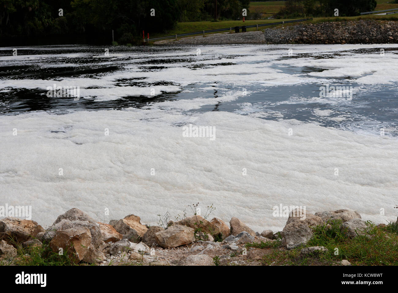 Foam on the surface of a river Stock Photo - Alamy