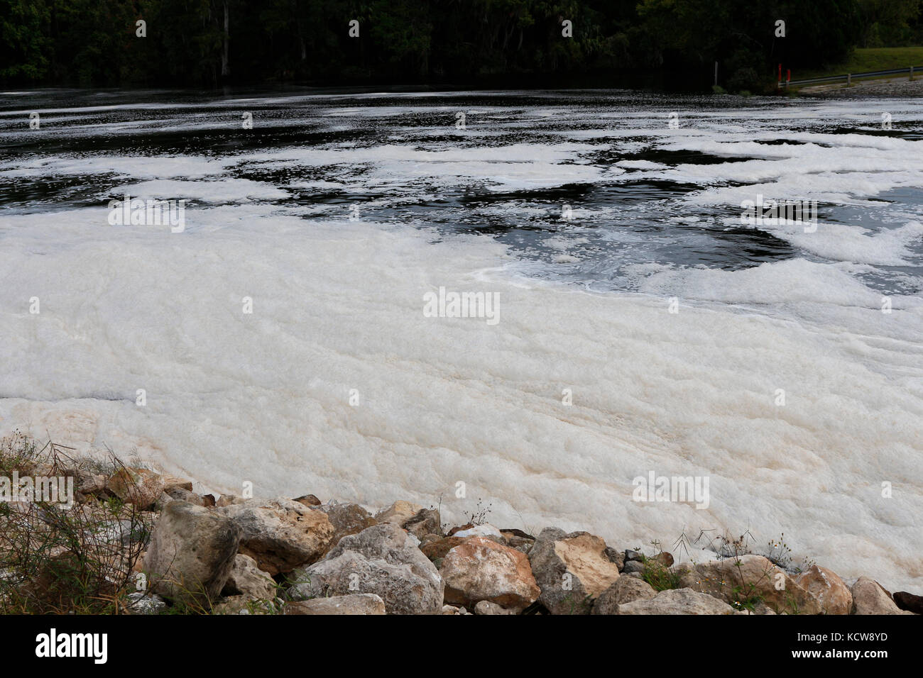 Foam on the surface of a river Stock Photo - Alamy