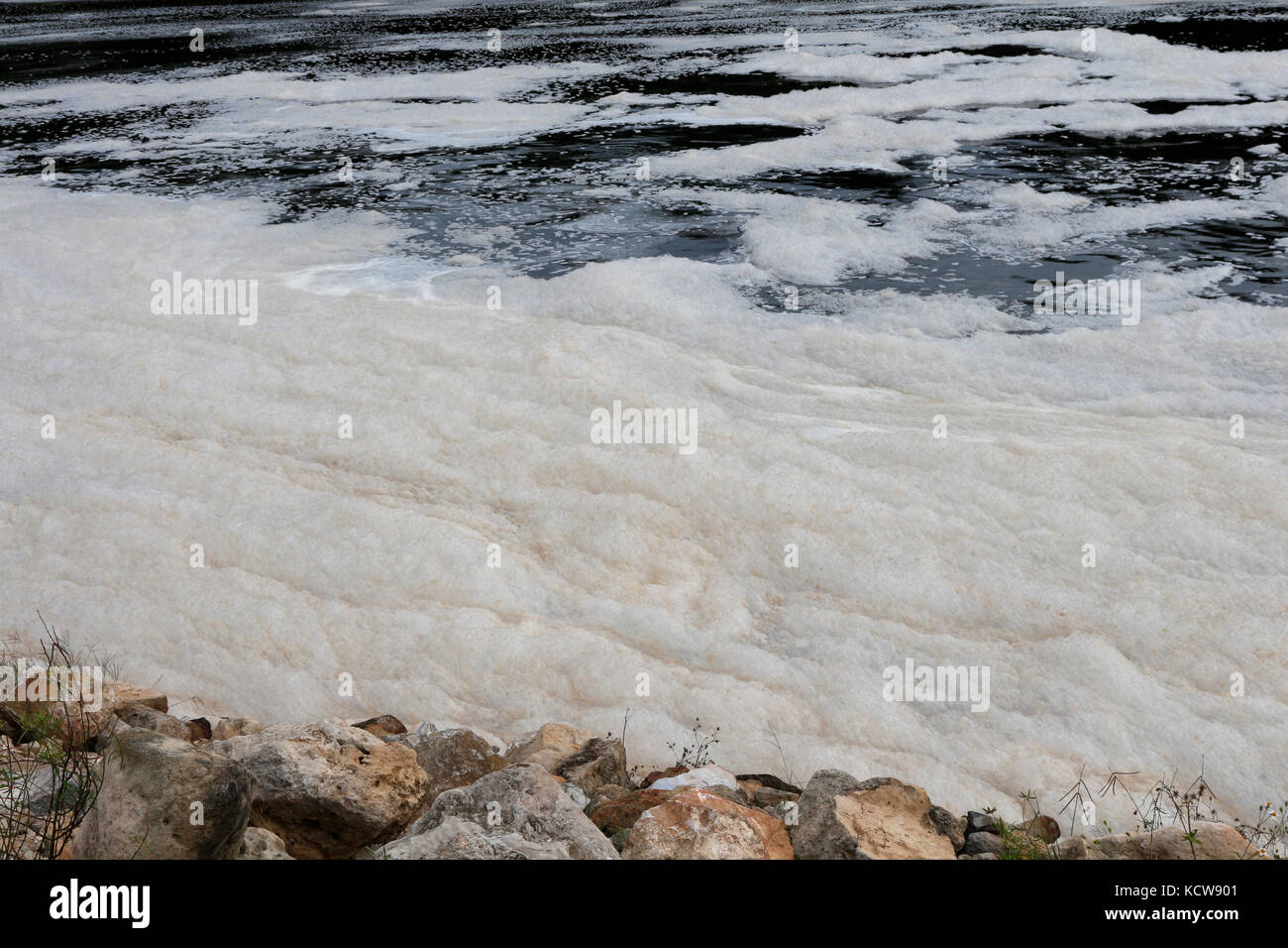 Foam on the surface of a river Stock Photo - Alamy