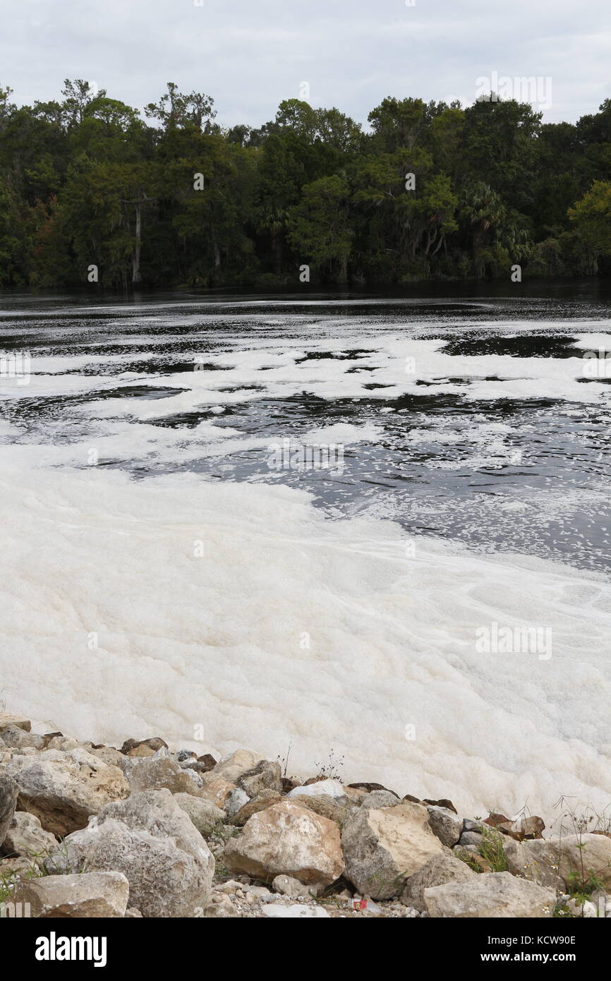 Foam on the surface of a river Stock Photo - Alamy