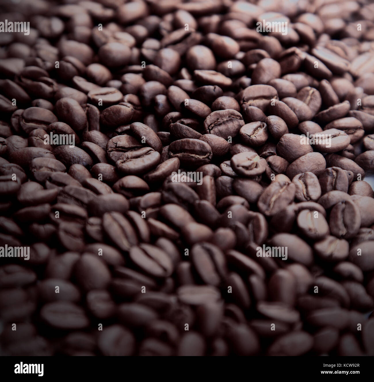 stripe of coffee beans isolated on white Stock Photo - Alamy