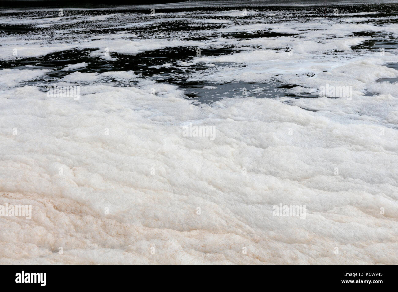 Foam on the surface of a river Stock Photo - Alamy