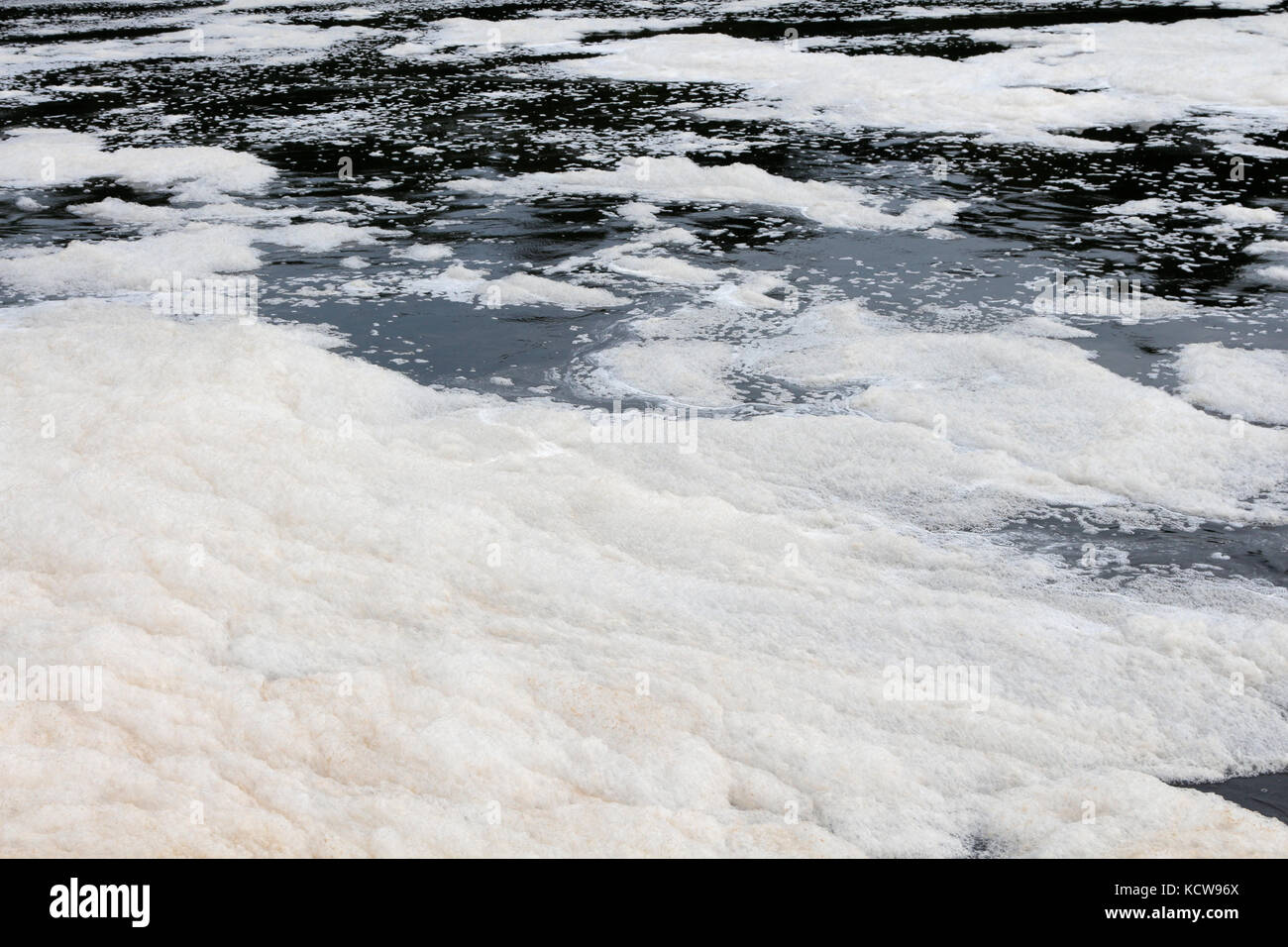 Foam on the surface of a river Stock Photo - Alamy