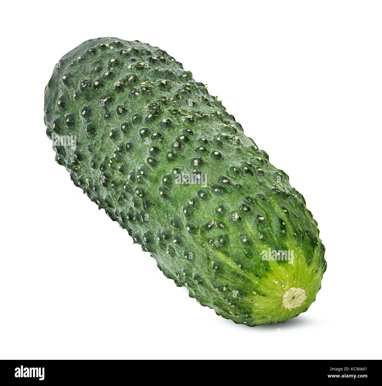 Fresh cucumber isolated on white background Stock Photo - Alamy