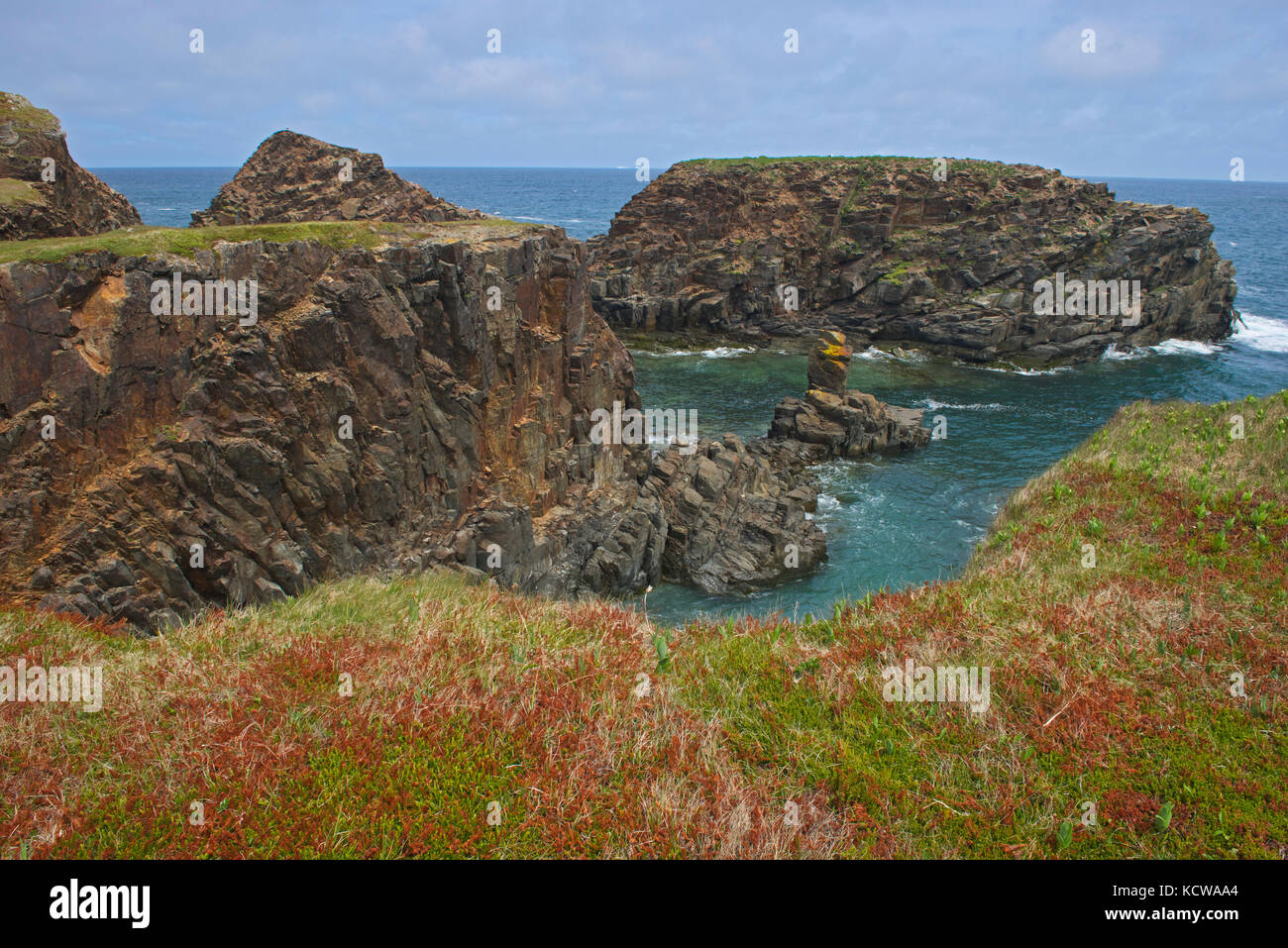 Rocky cliffs along the Atlantic Ocean, Elliston, Newfoundland ...