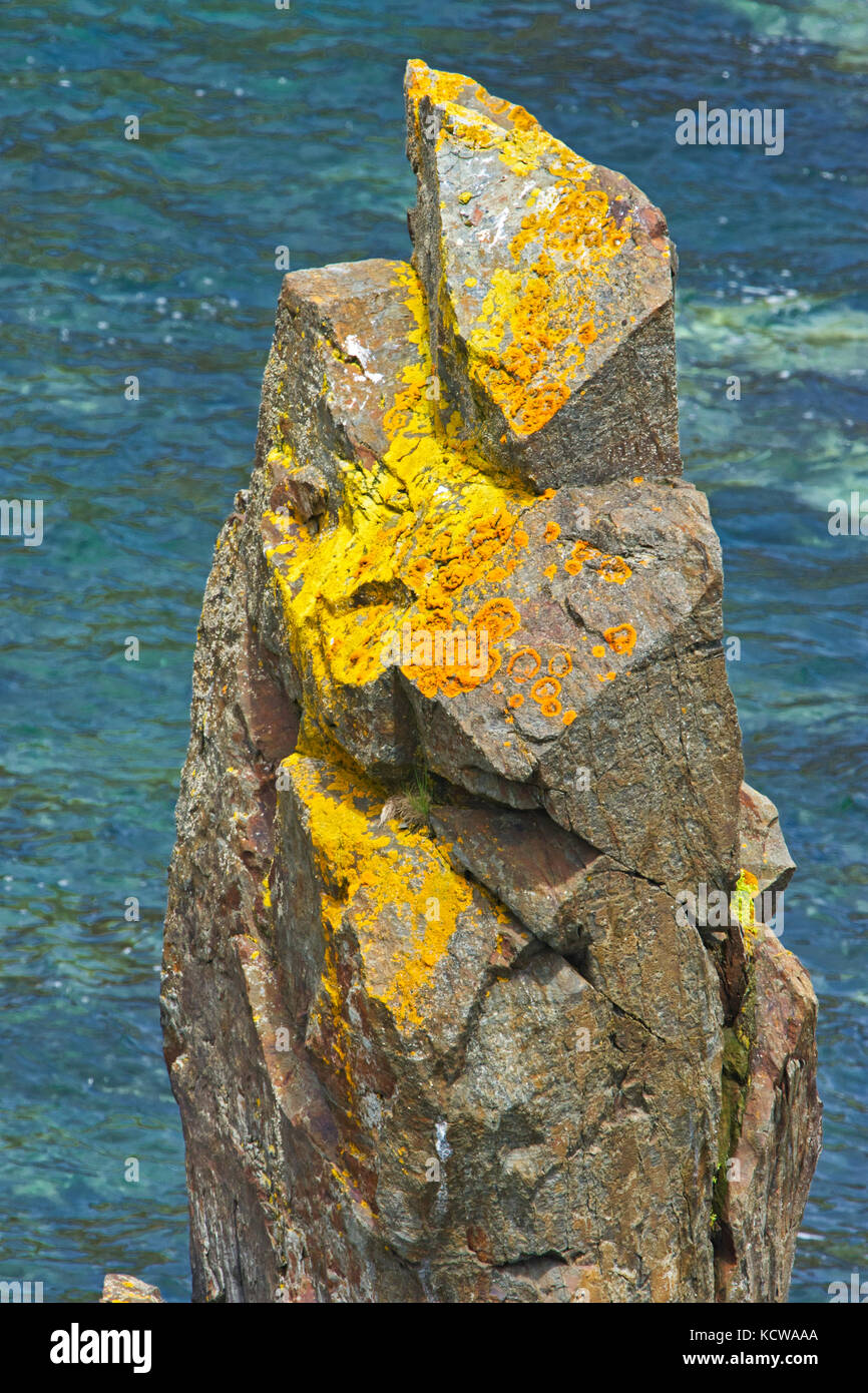 Rocky cliffs along the Atlantic Ocean, Elliston, Newfoundland ...