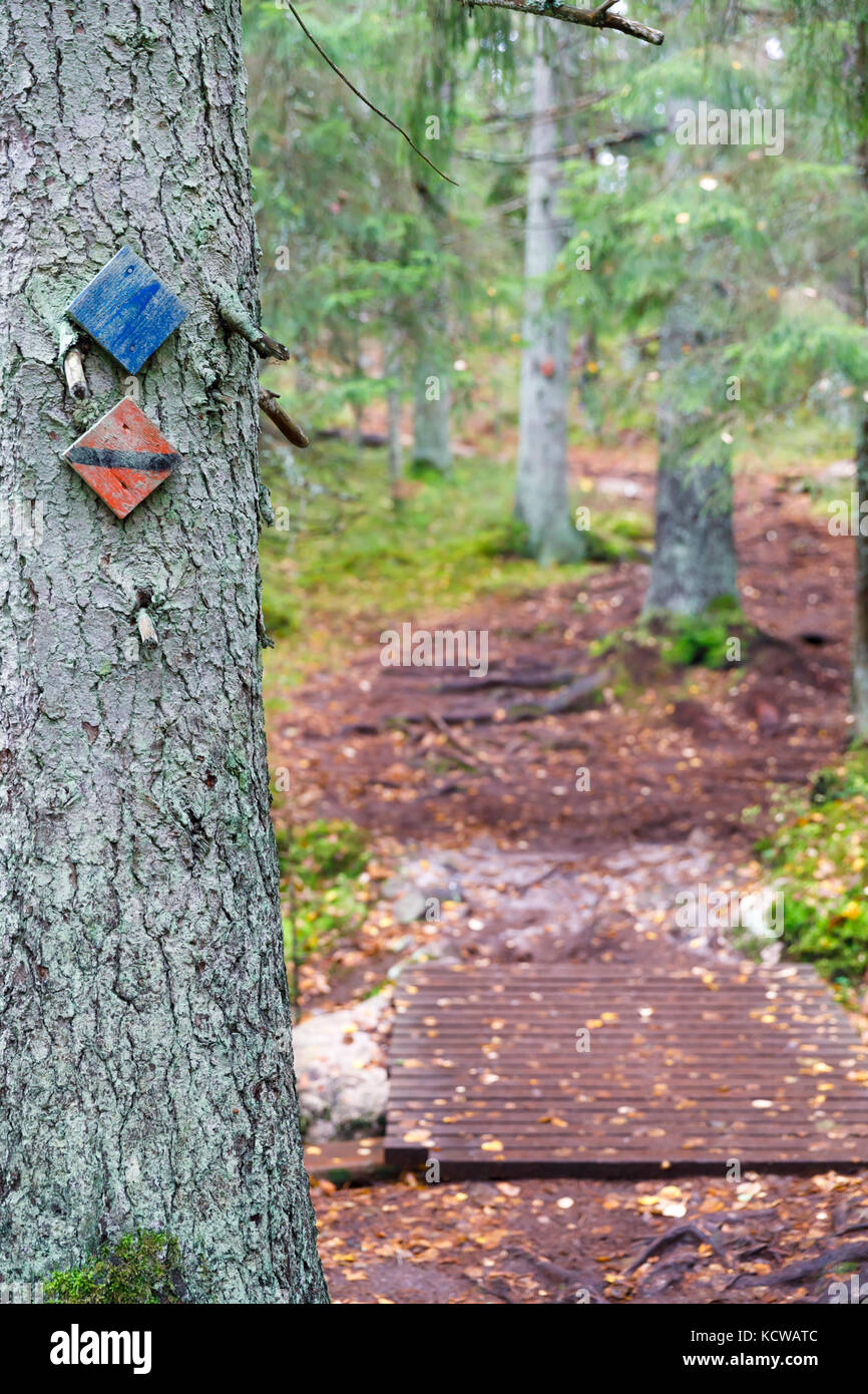 Signs on a tree marking hiking track in forest Stock Photo - Alamy