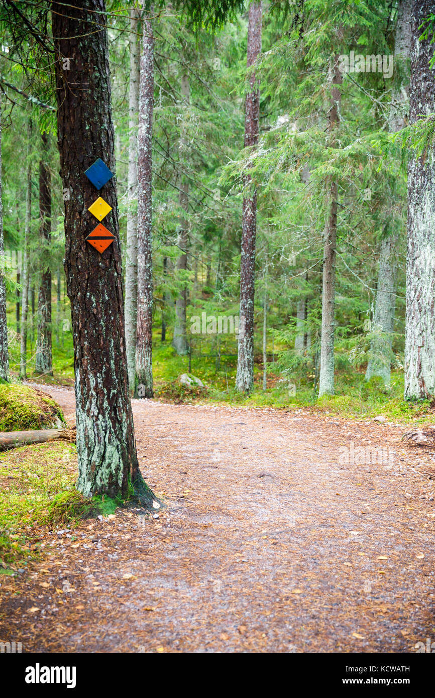 Signs on a tree marking hiking track in forest Stock Photo - Alamy