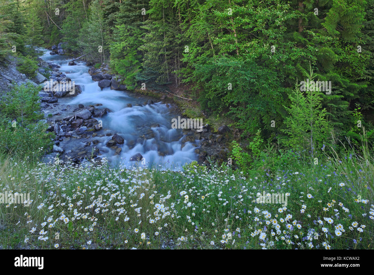 Sinclair Creek flowing into Sinclair Canyon, Kootenay National Park ...