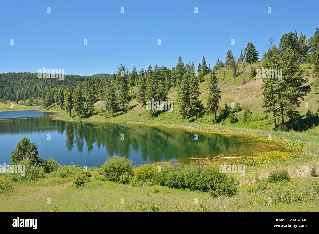 Taylor Lake at the Gulliford Rest Area, Near Princeton, British ...