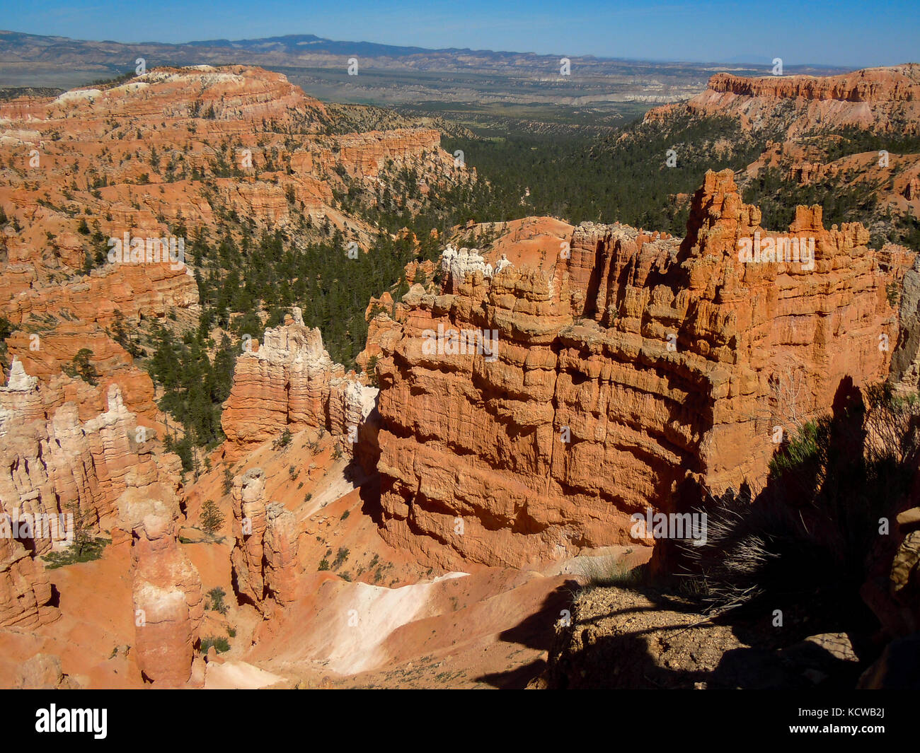 grand canyon view Stock Photo - Alamy