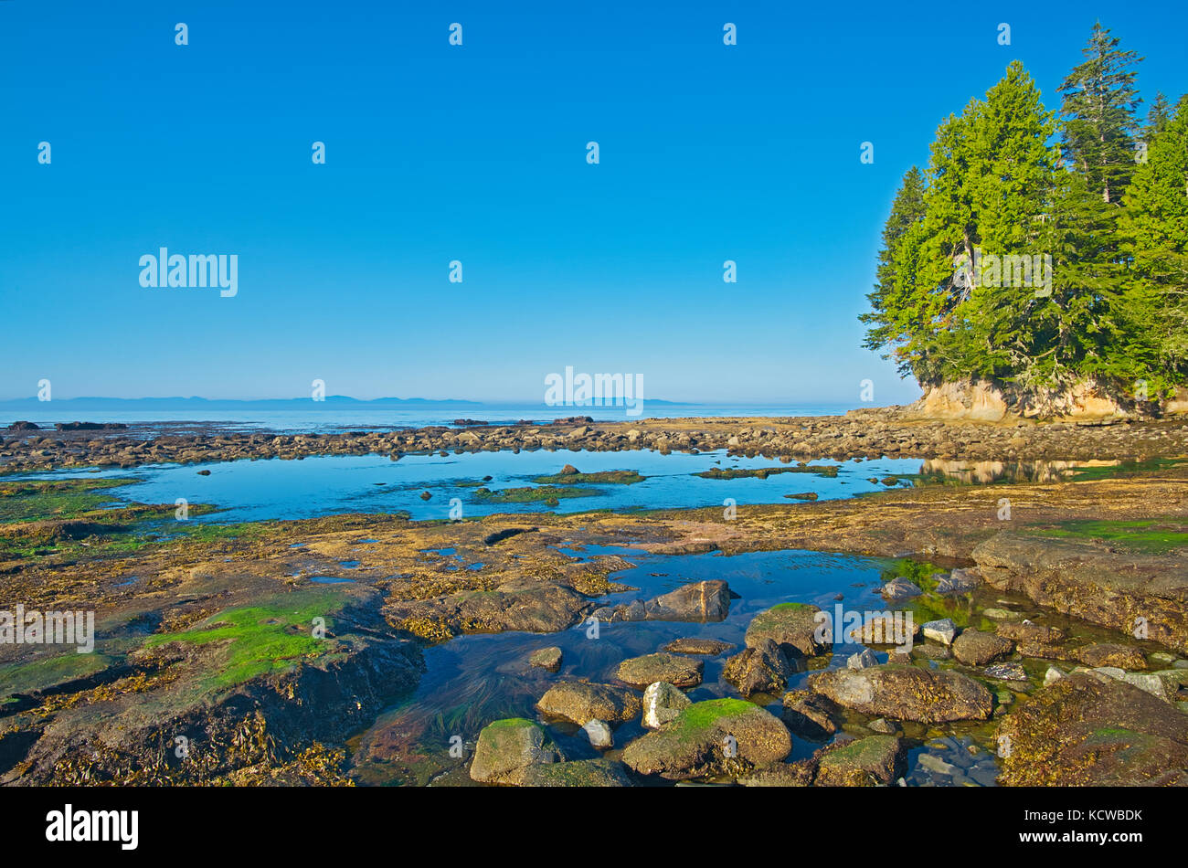 Botanical Beach at low tide, Formerly Botanical Beach Provincial Park ...