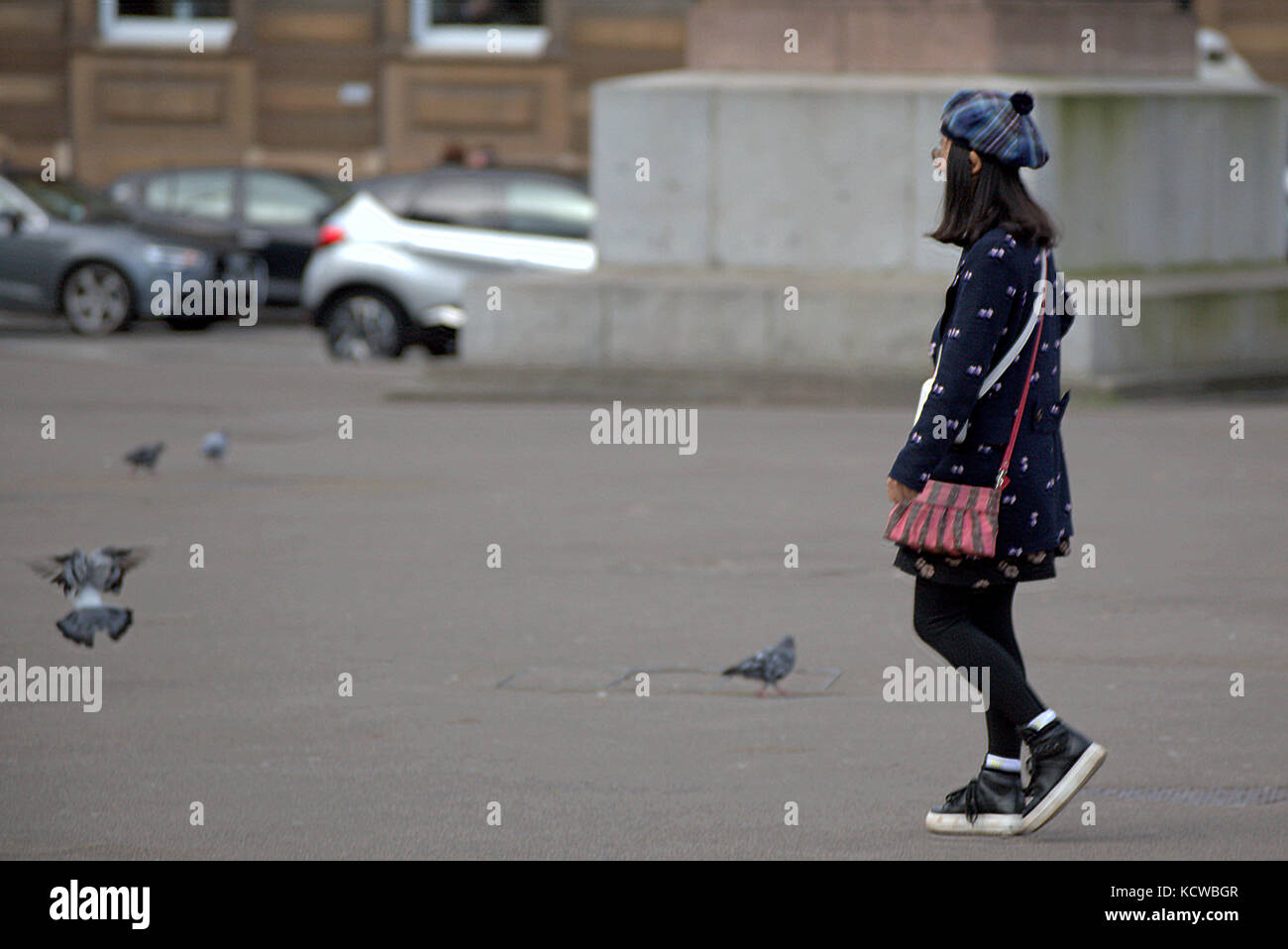 Pigeons make glasgow hi-res stock photography and images - Alamy