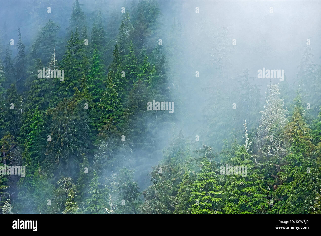 Queen Charlotte Mountains, Insular Mountains, Pacific Ocean, Graham ...